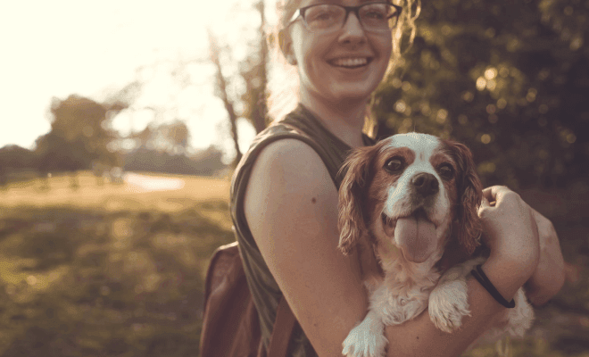 Affordable Puppies for Sale Under $1000 | MawooPets.com