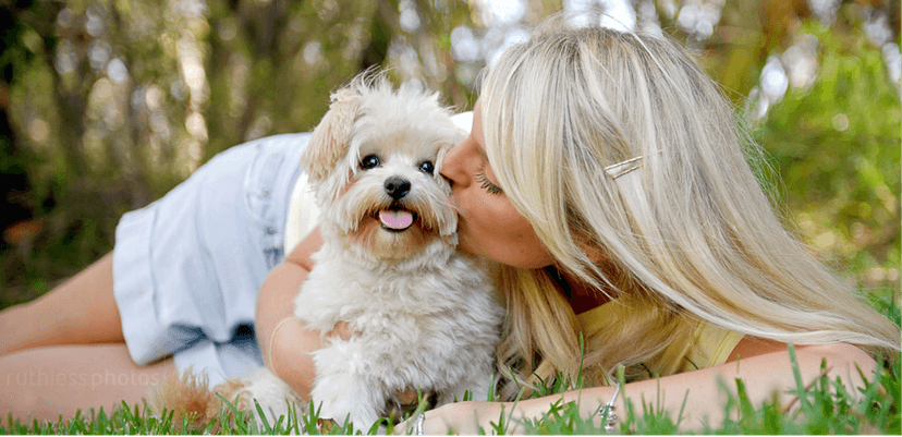 Mawoo Pets: Adorable Puppies from Caring Breeders