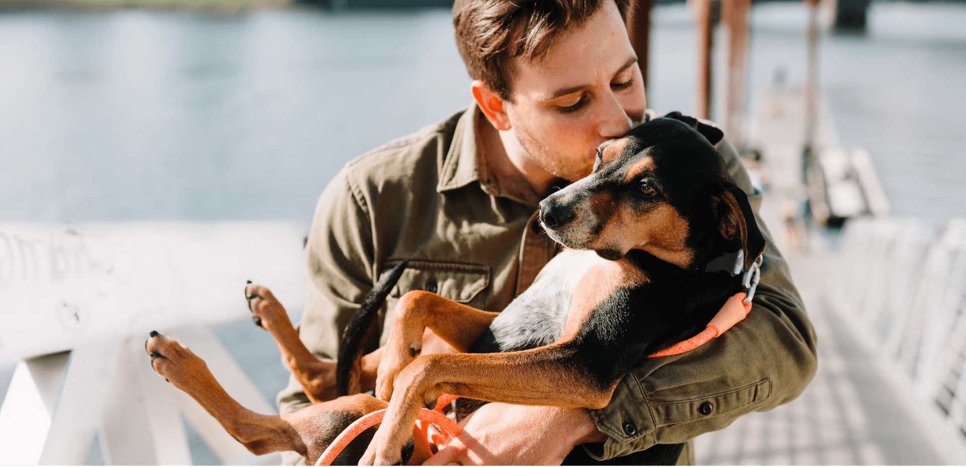 What’s the Difference Between Adopting an... - MawooPets.com